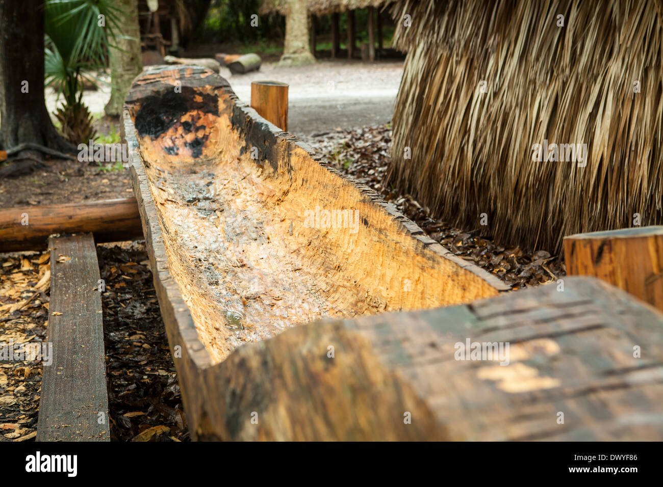 Timucua hi-res stock photography and images - Alamy