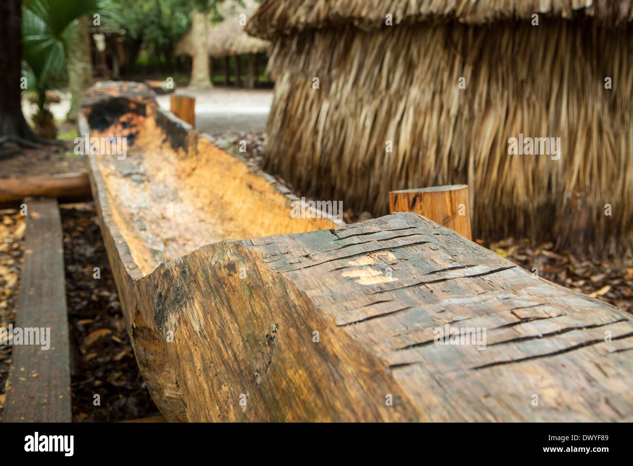 Timucua hi-res stock photography and images - Alamy