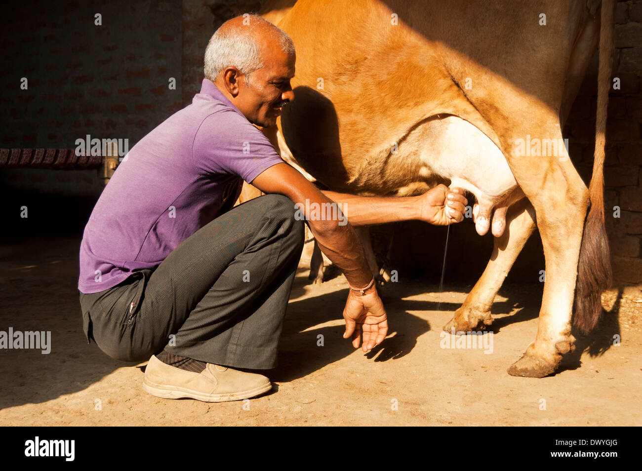 1 Indian Man Sitting and Crouching Udder Stock Photo - Alamy