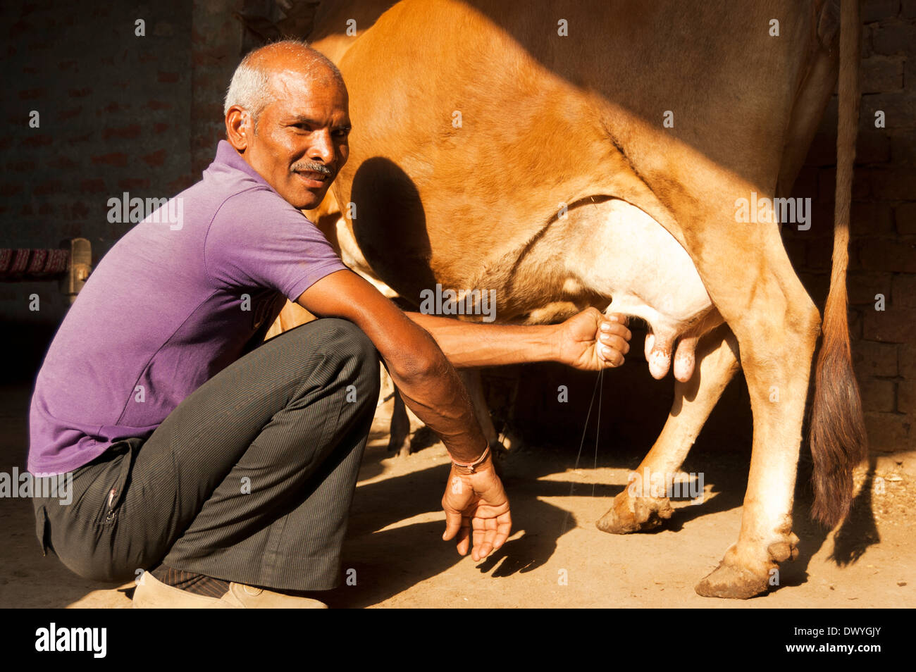 1 Indian Man Sitting and Crouching Udder Stock Photo - Alamy