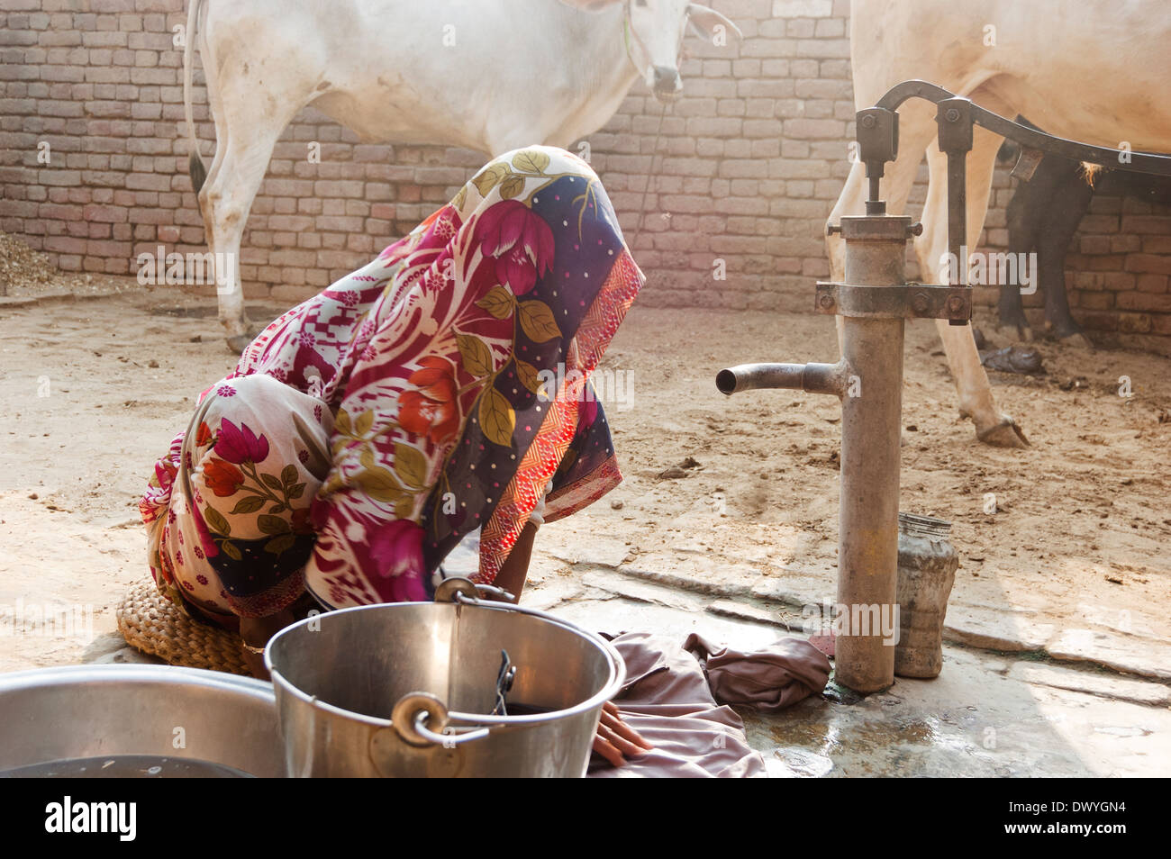 Indian woman washing clothes outside hi-res stock photography and ...