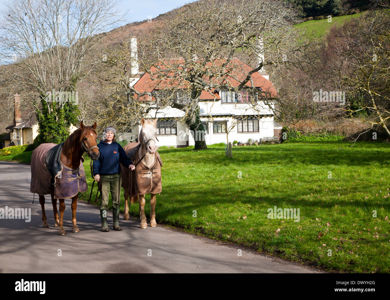 Bossington house estate hi-res stock photography and images - Alamy