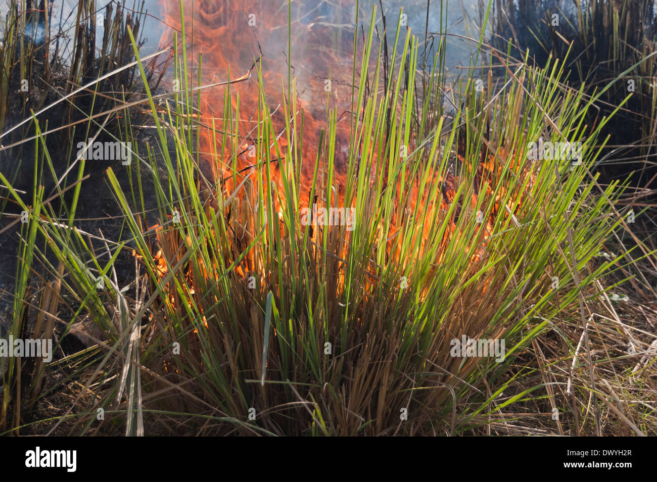 Agriculture pollution hi-res stock photography and images - Alamy