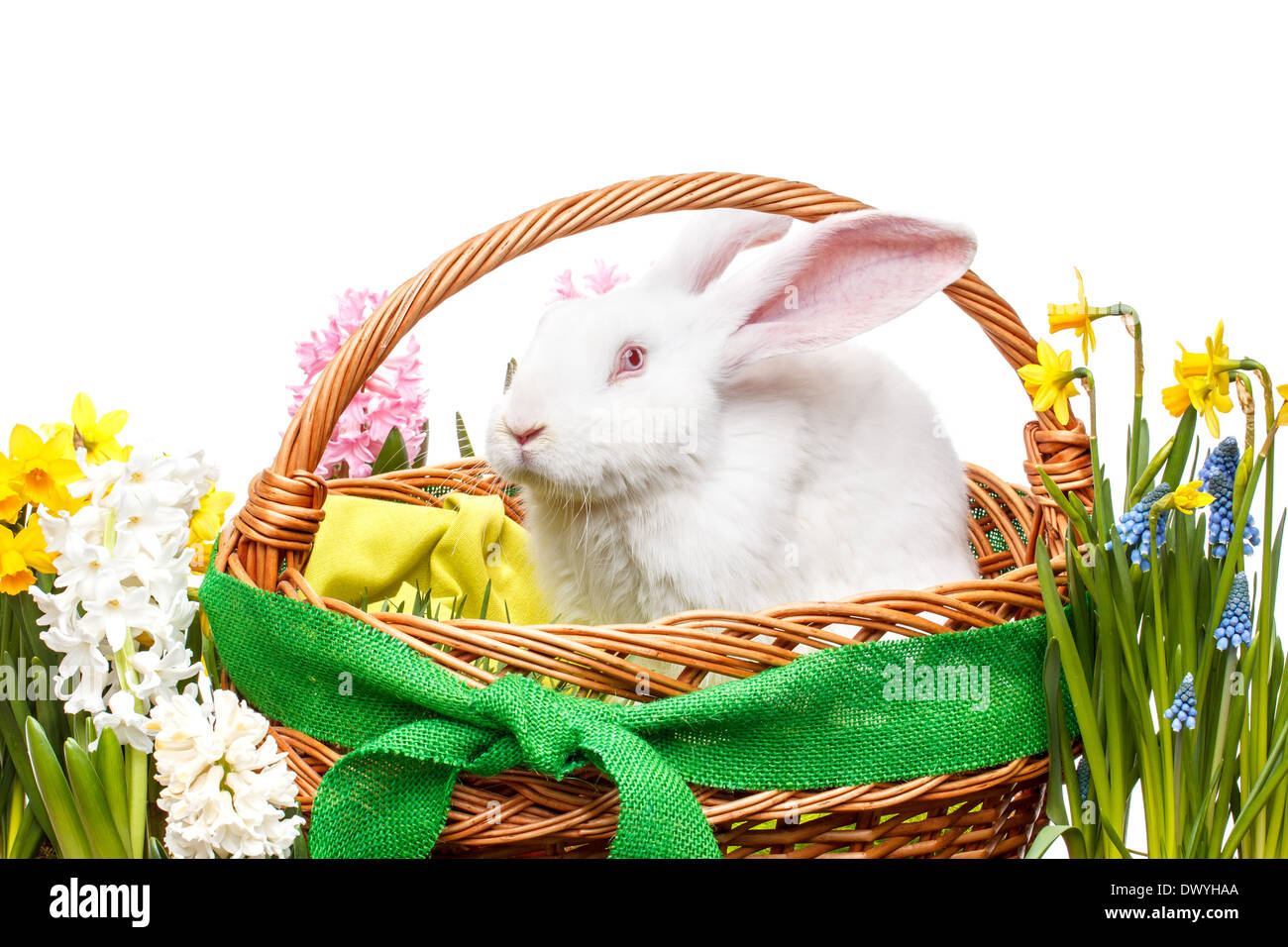 Still life of Easter bunny in basket Stock Photo - Alamy