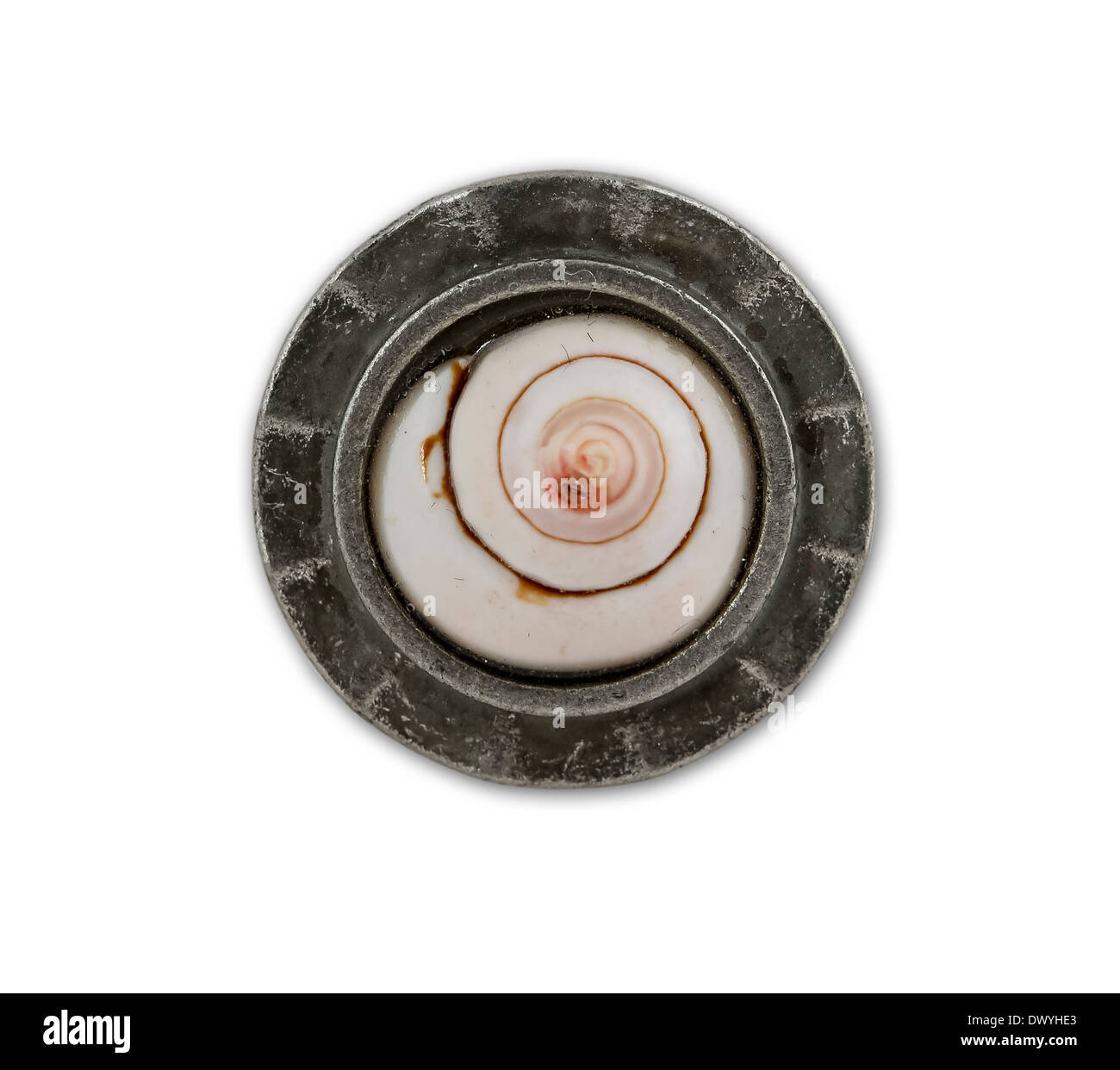 Shell ring hi-res stock photography and images - Alamy