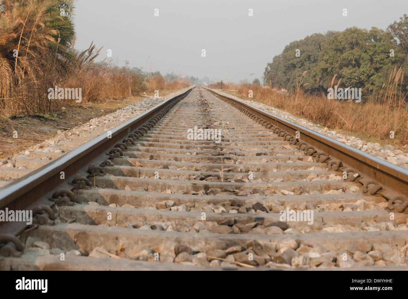 Indian railway line hi-res stock photography and images - Alamy
