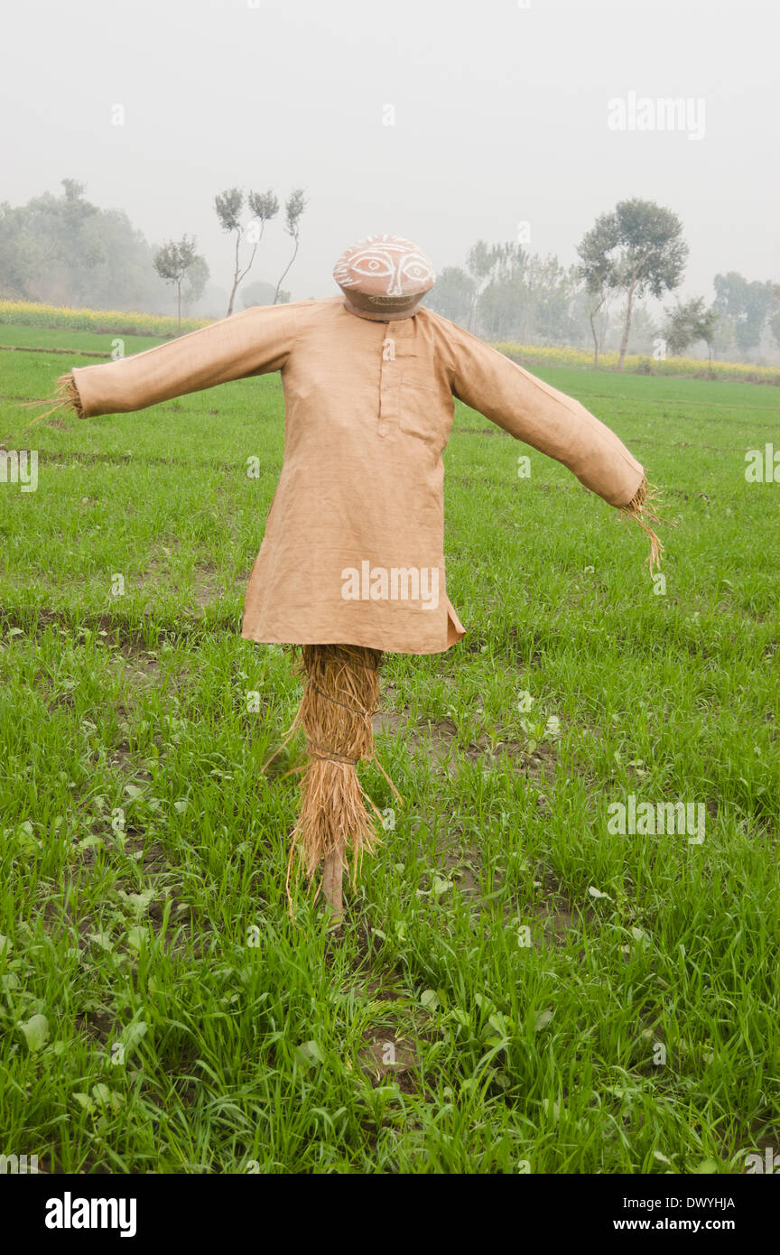 Indian Agriculture Area Stock Photo - Alamy