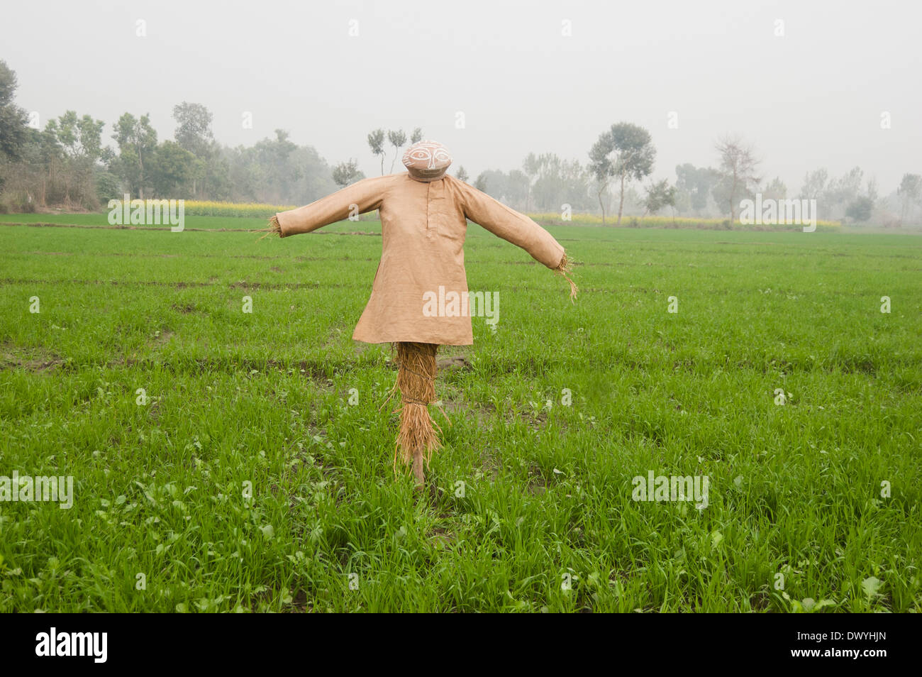 Indian scarecrow hi-res stock photography and images - Alamy