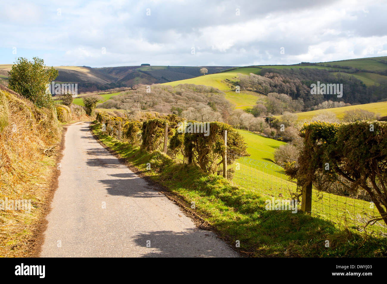 Narrow road leading into exmoor national park landscape hi-res stock ...
