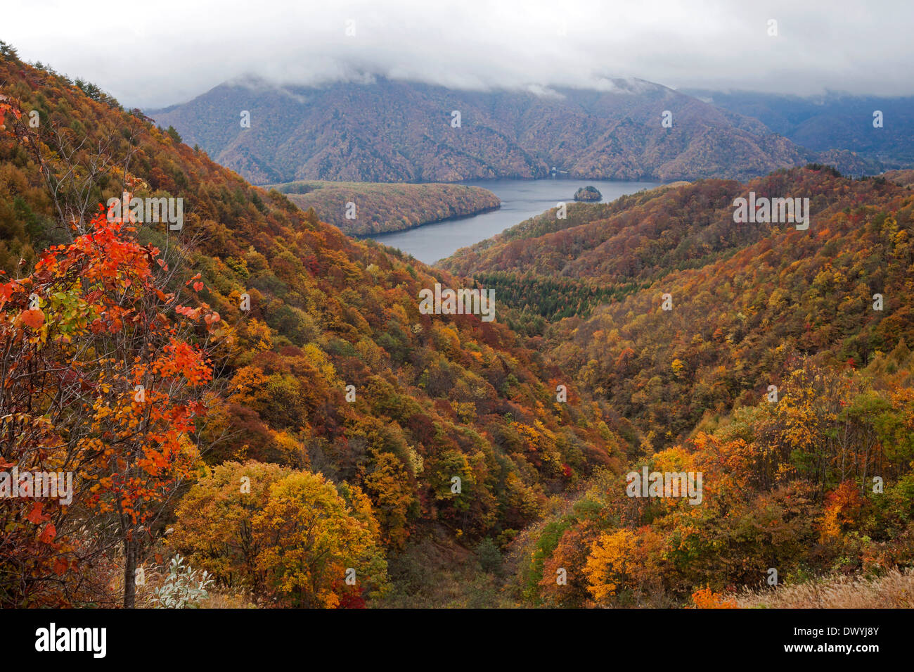 Autumn View of Urabandai, Fukushima Prefecture, Japan Stock Photo - Alamy