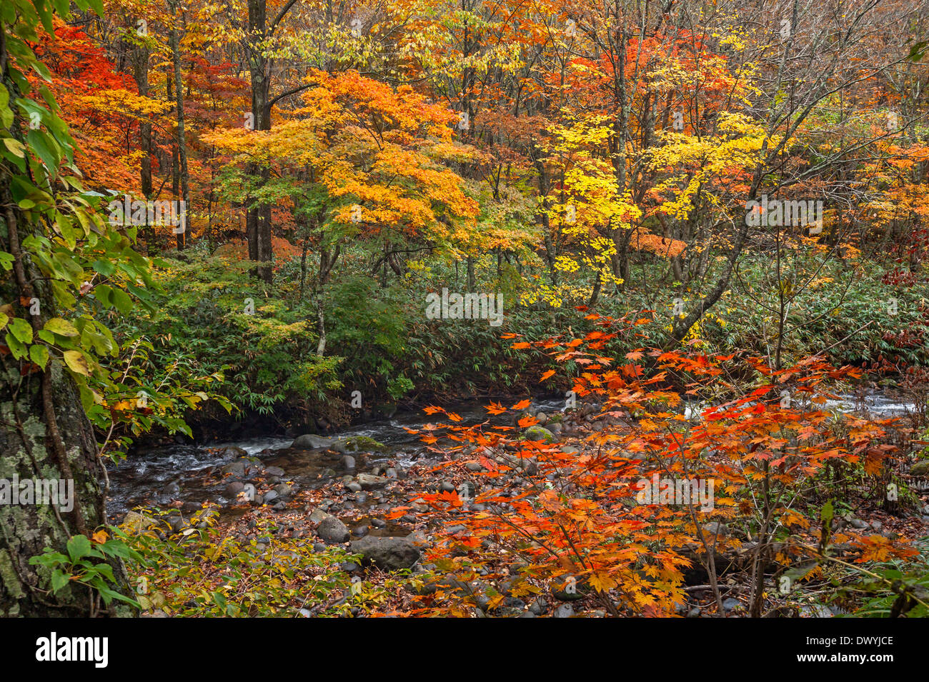 Urabandai hi-res stock photography and images - Alamy