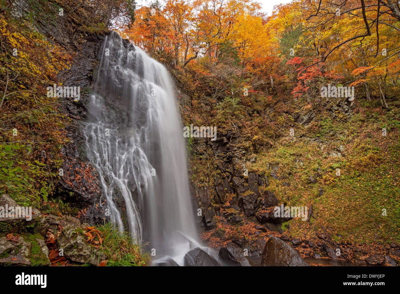 Urabandai hi-res stock photography and images - Alamy