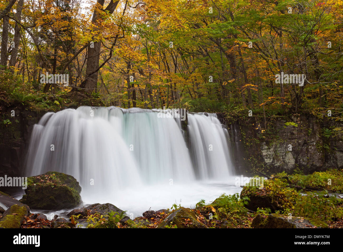 Choshi Waterfall in Oirase Mountain Stream, Aomori Prefecture, Japan ...