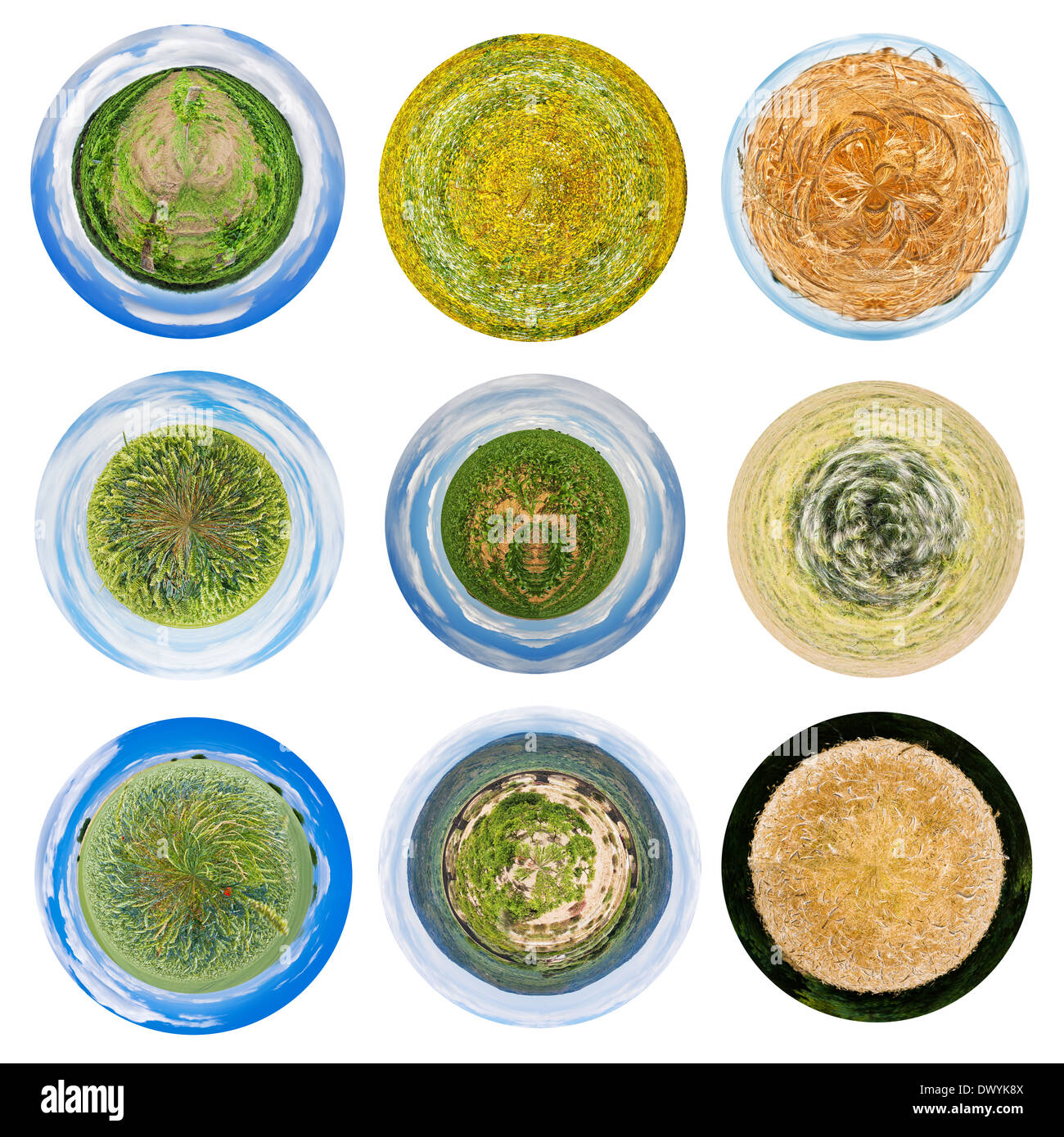 spherical views of rural agricultural landscapes - wheat, rye, barley ...