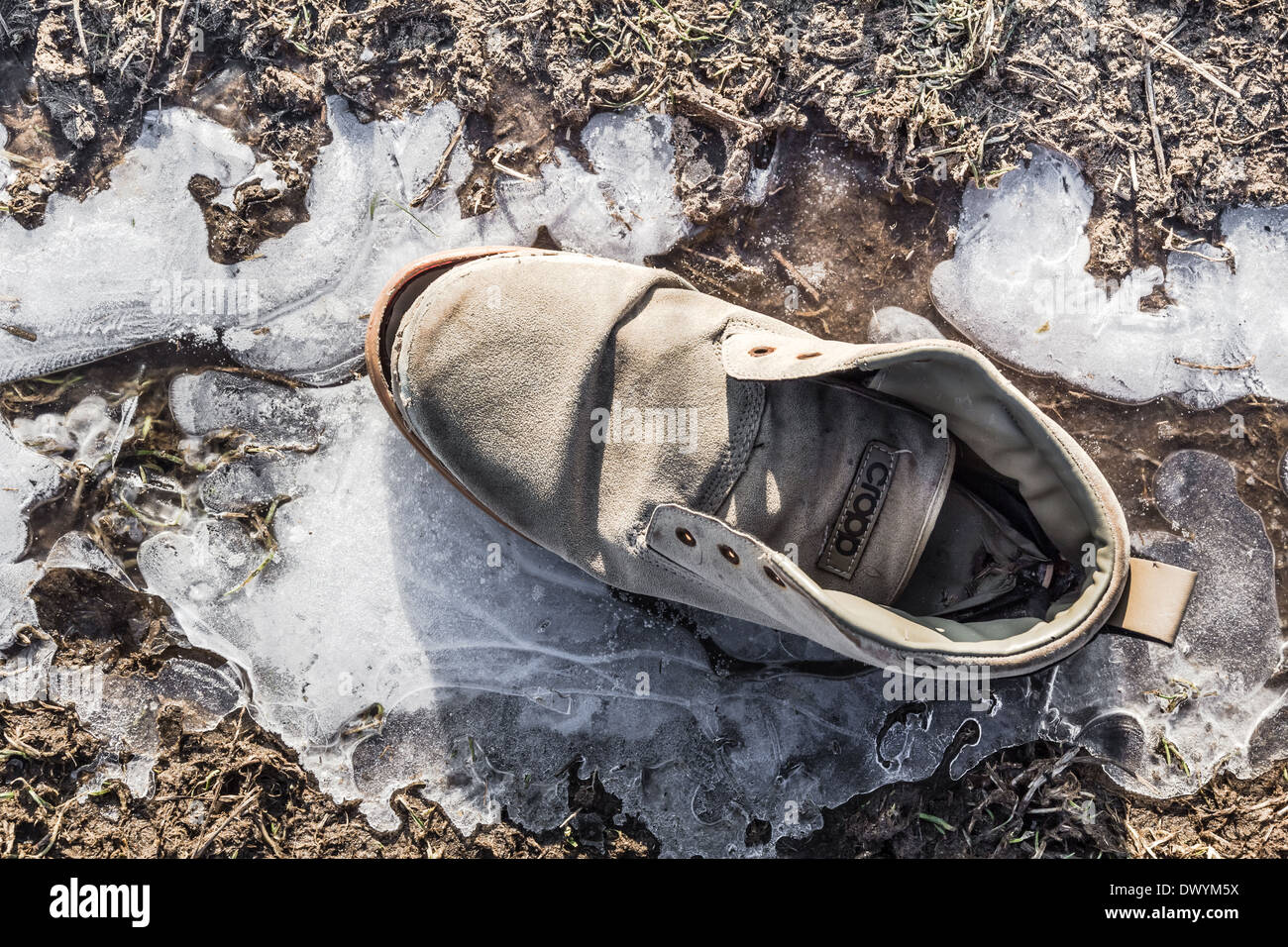 Worn sports shoe on the frozen puddle Stock Photo - Alamy