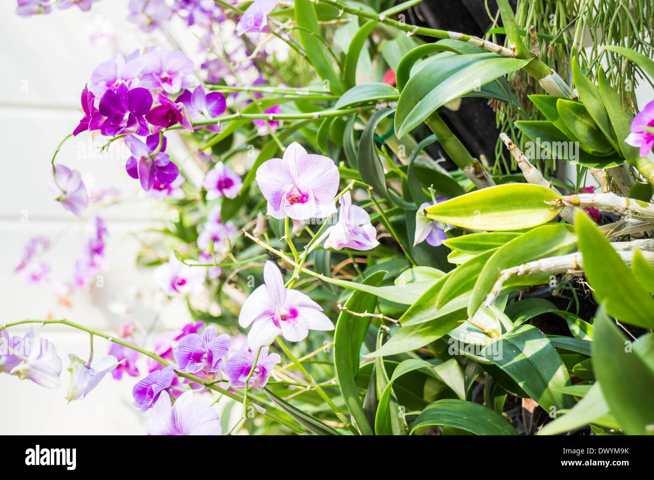 Sunny day stock hi-res stock photography and images - Alamy