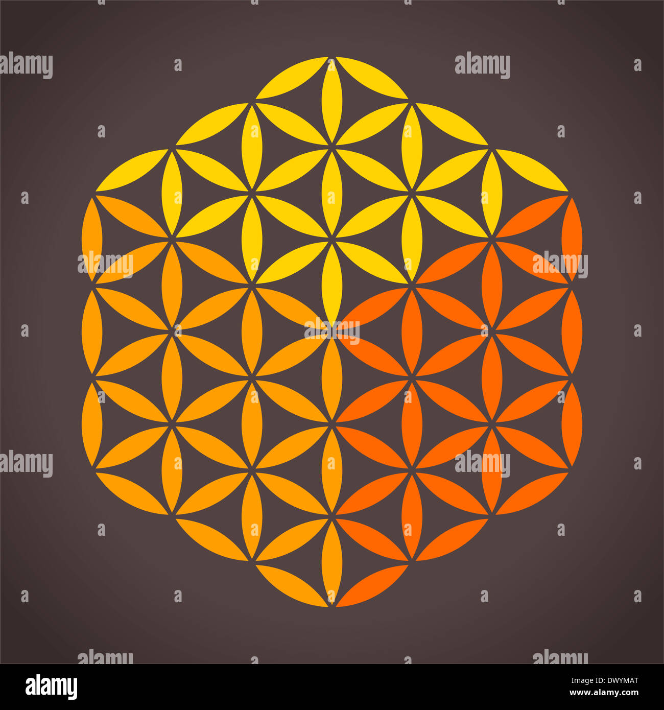 Flower of Life Cube - With three different colors it is possible to ...