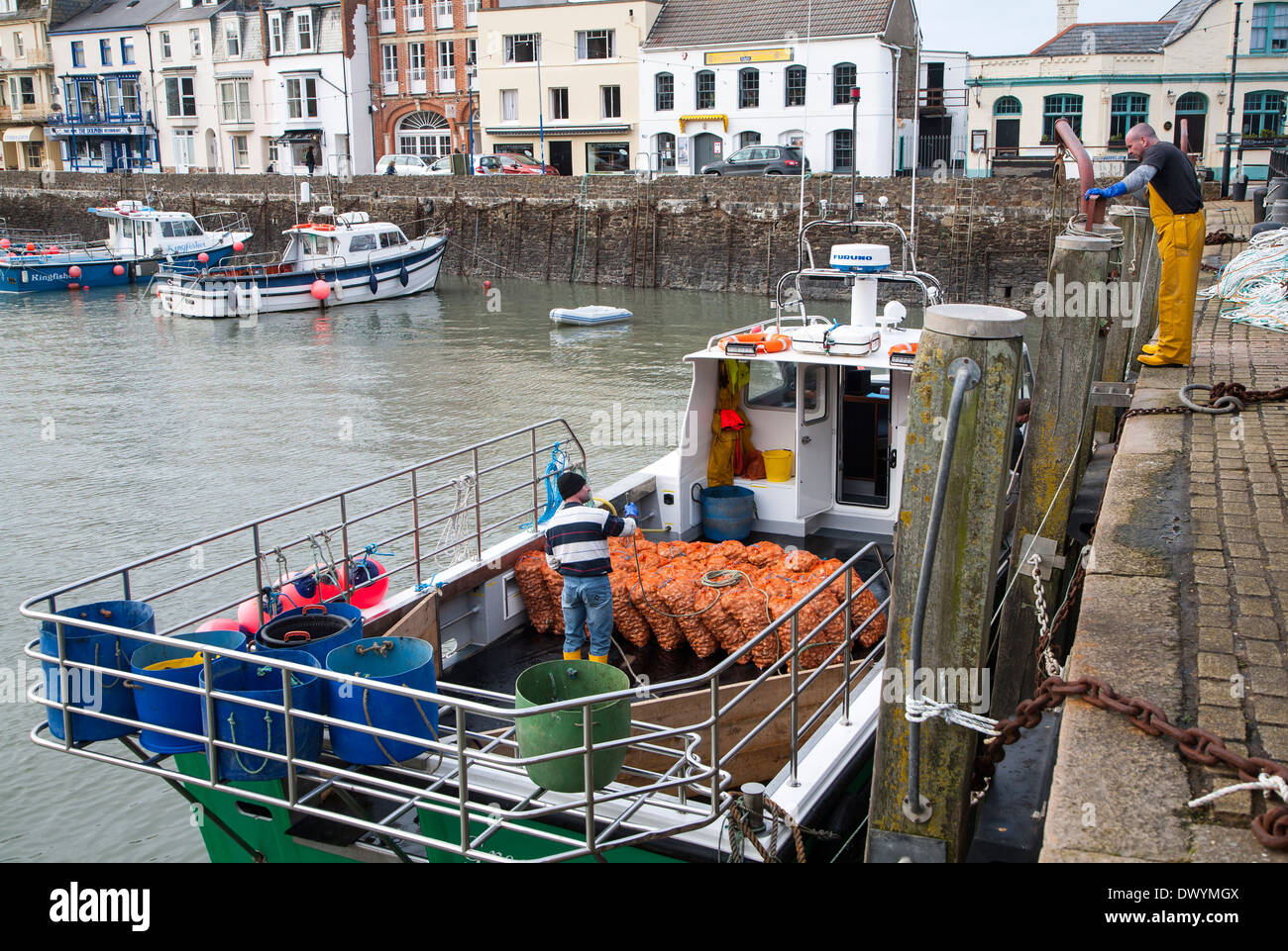 Unloading a catch of shellfish from a small fishing boat in the harbour ...