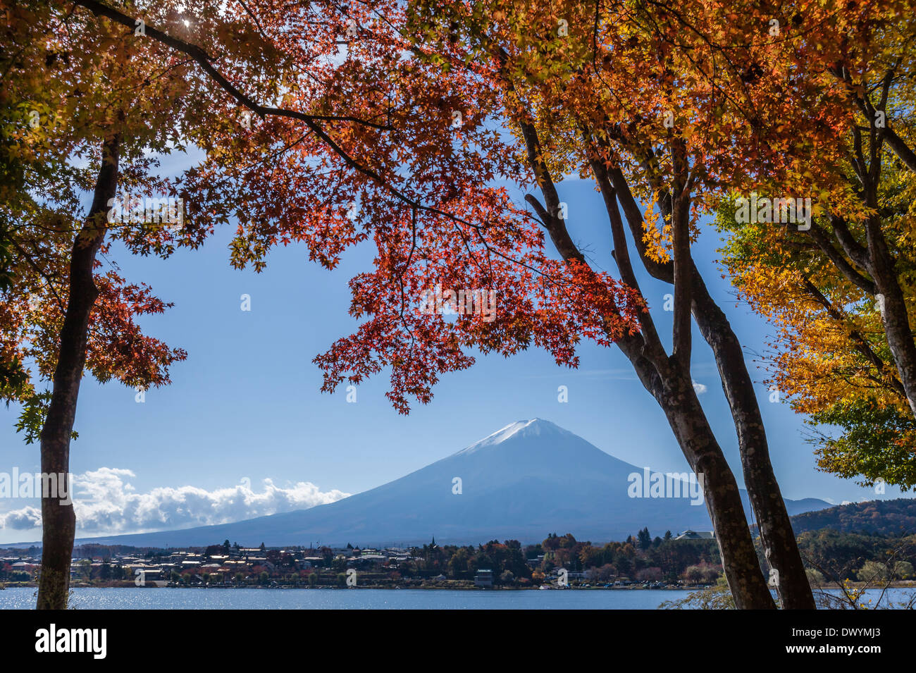 Autumn View of Mount Fuji, Japan Stock Photo - Alamy