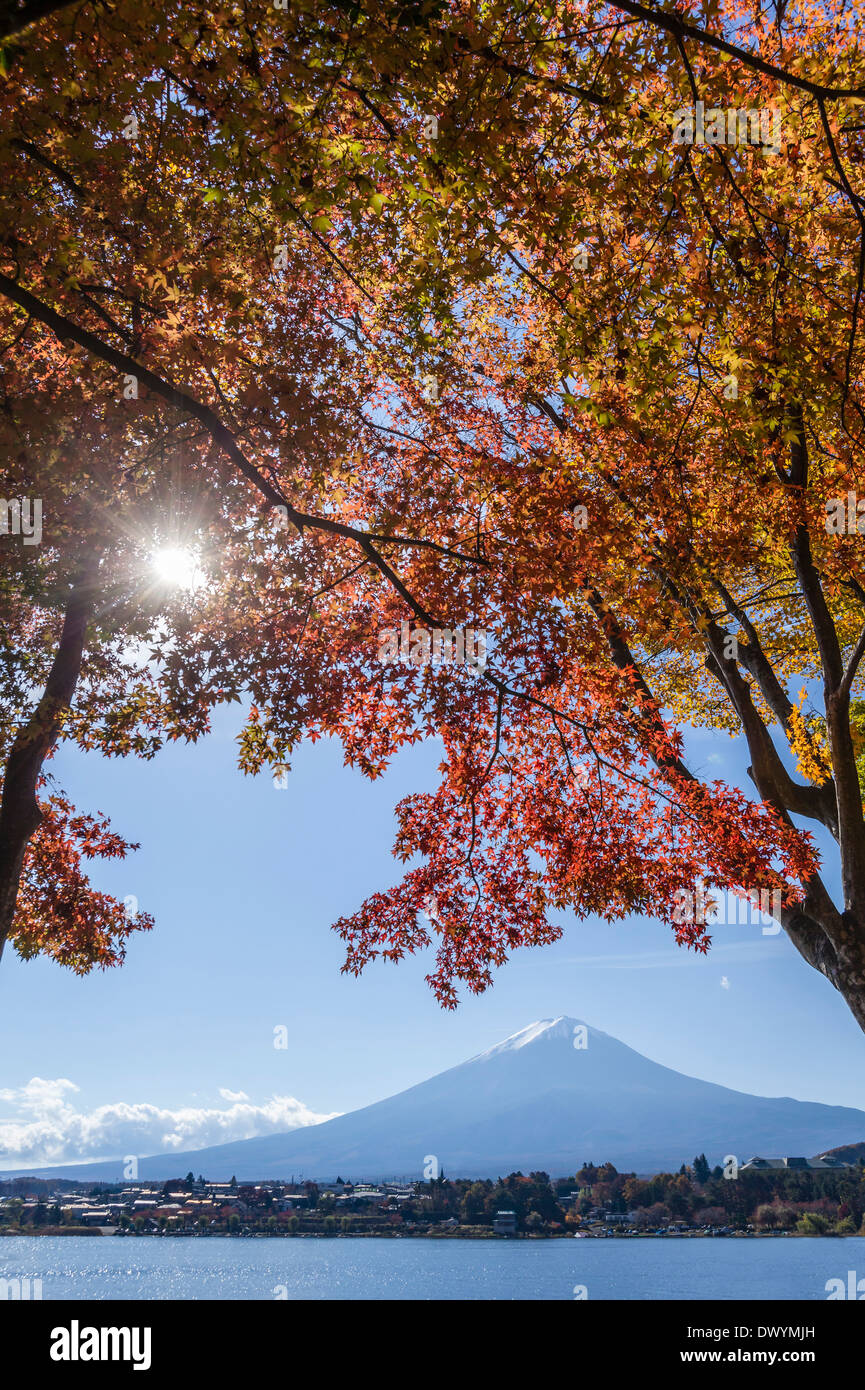 Autumn view mount fuji hi-res stock photography and images - Alamy