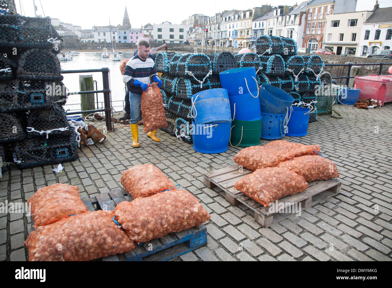Unloading a catch of shellfish from a small fishing boat in the harbour ...