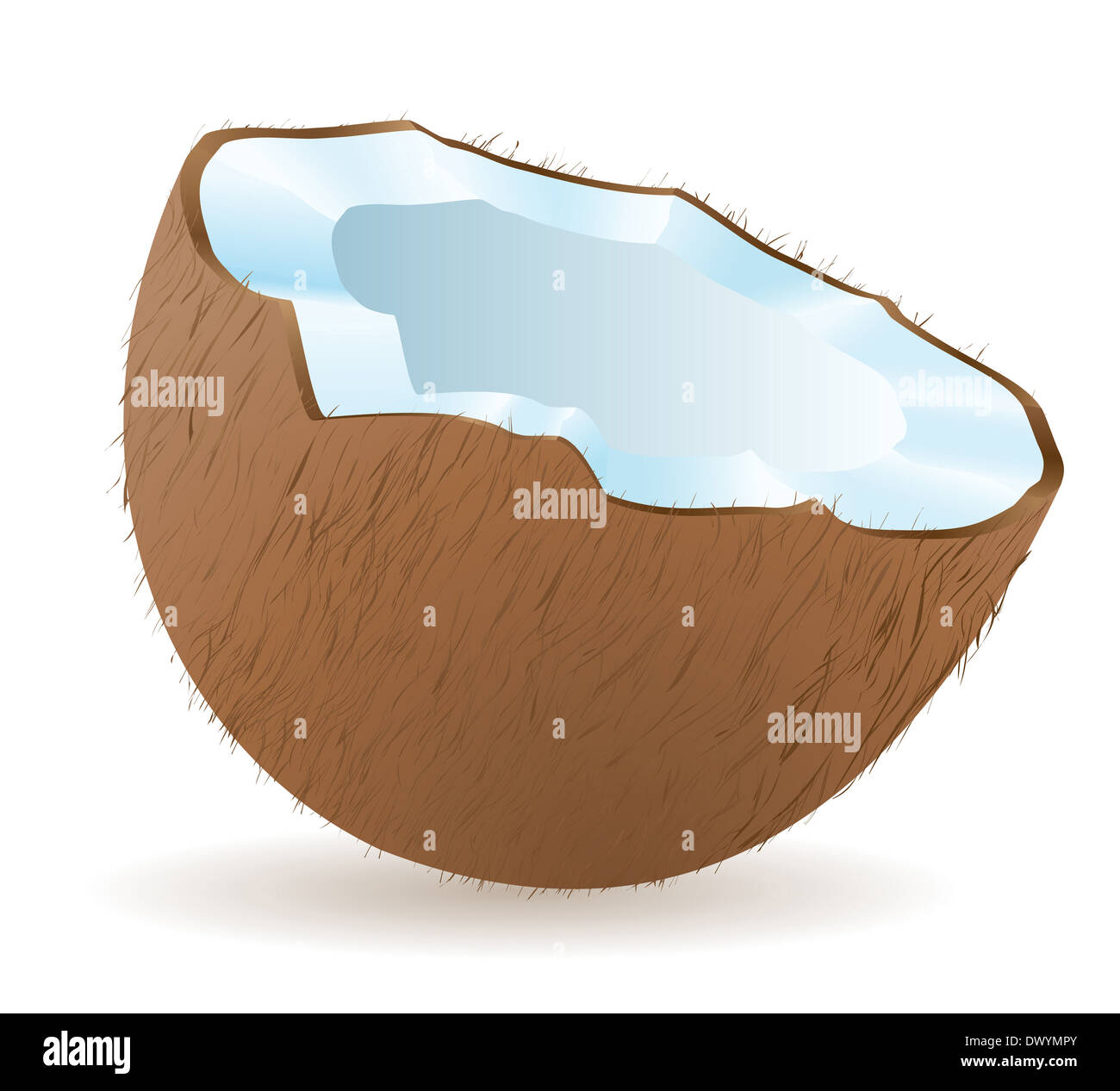 coconut illustration isolated on white background Stock Photo - Alamy