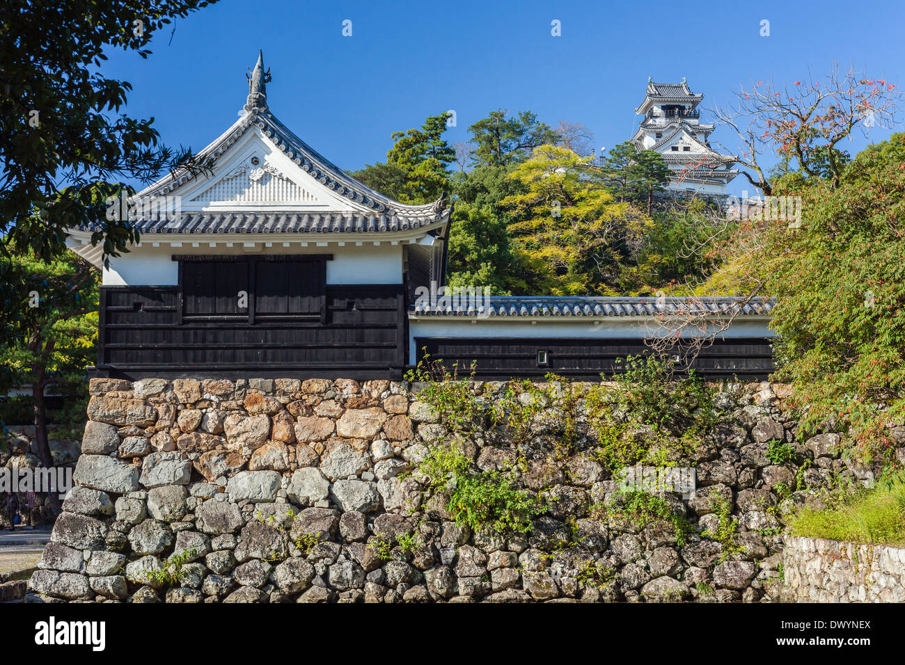 Kochi Castle, Kochi, Kochi Prefecture, Japan Stock Photo - Alamy