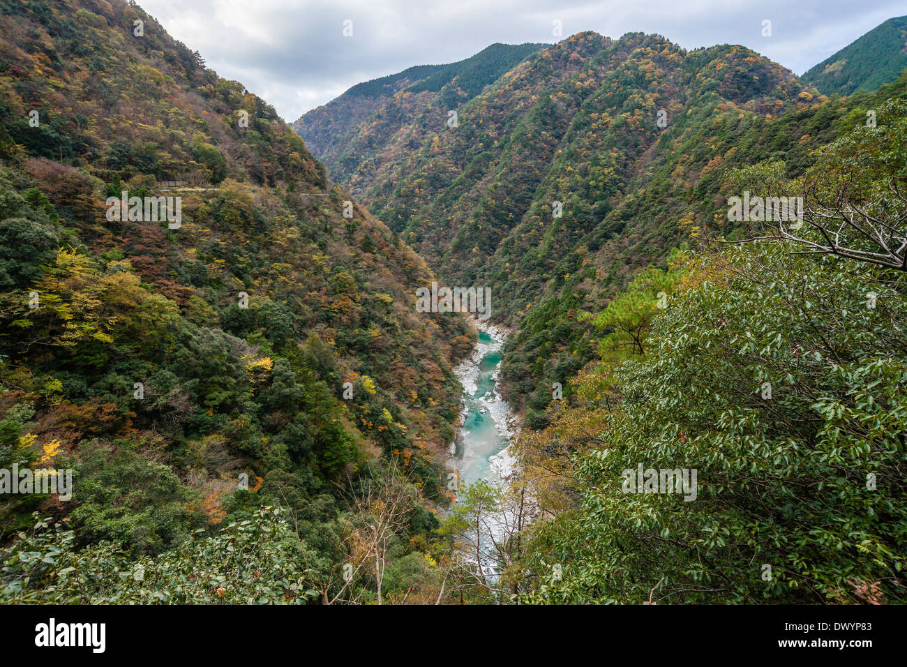 Iyakei Valley, Miyoshi, Tokushima Prefecture, Japan Stock Photo - Alamy