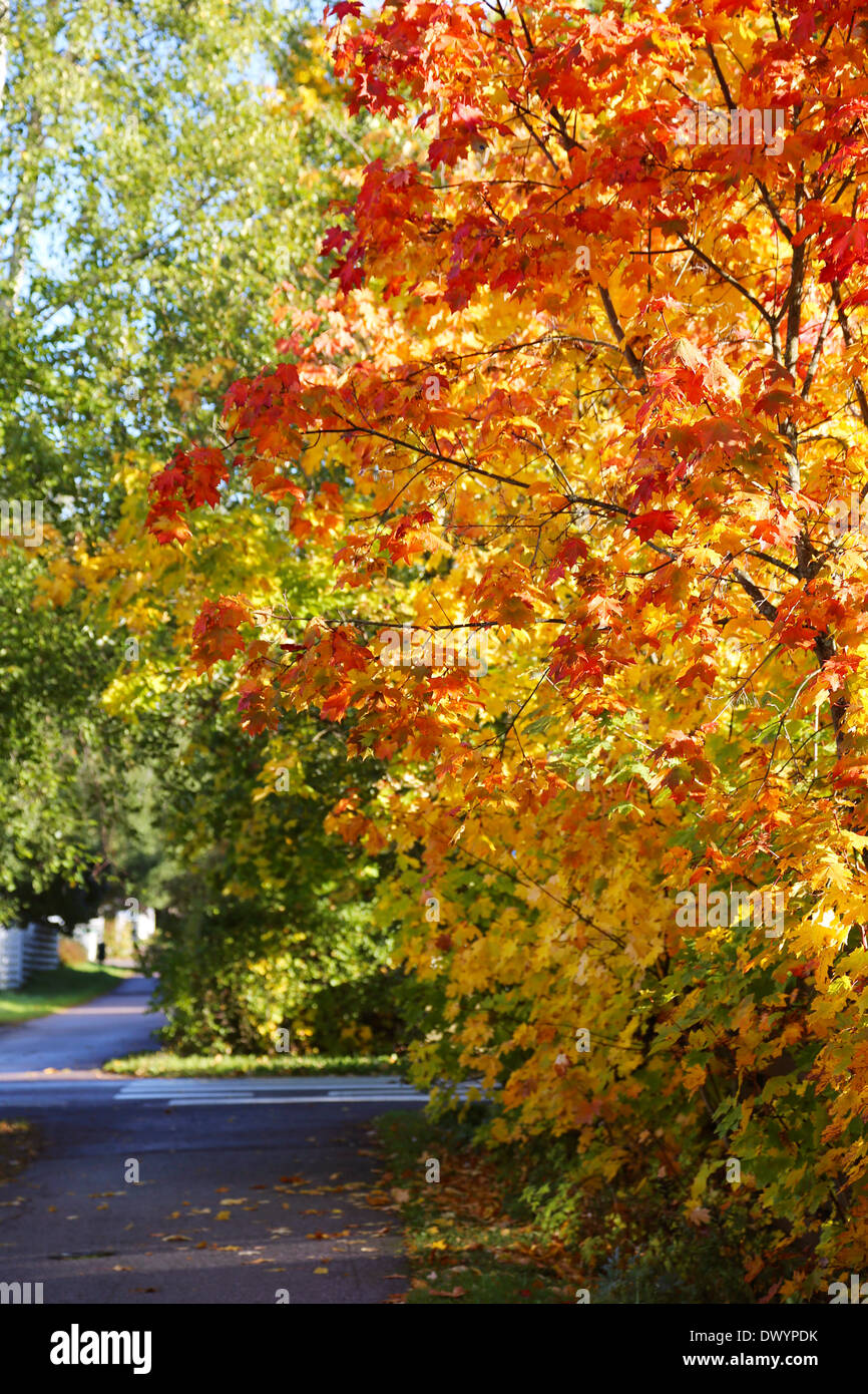 Autumn in the suburbs hi-res stock photography and images - Alamy