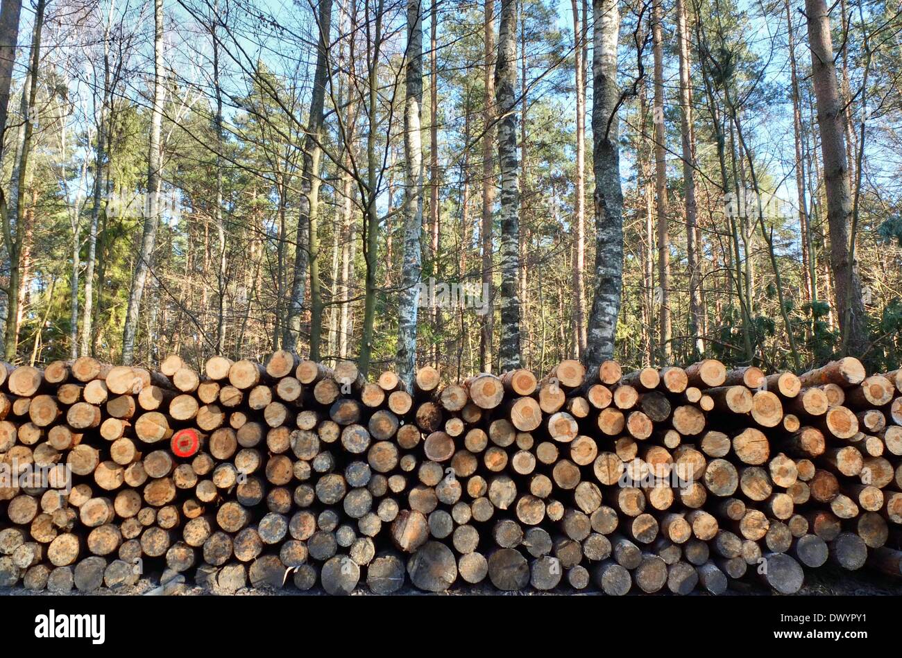 Cuted wood hi-res stock photography and images - Alamy