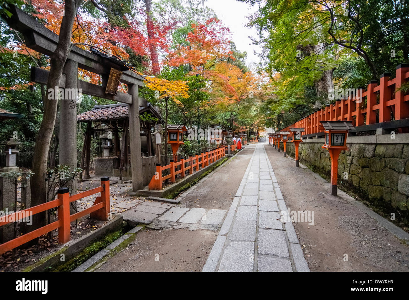 Fall in kyoto hi-res stock photography and images - Alamy