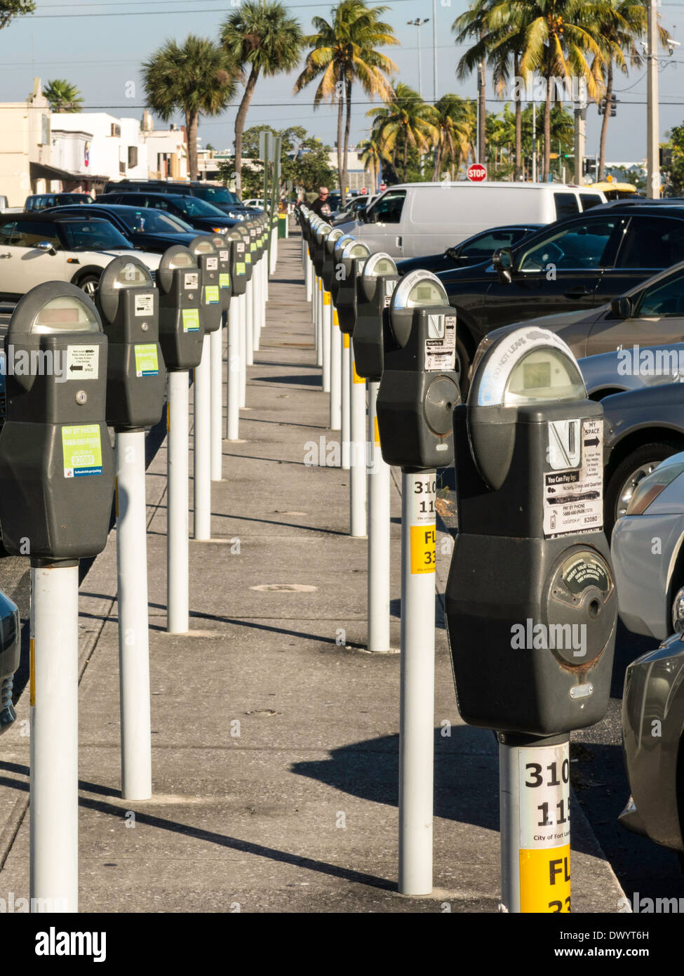 Rows of Coin Parking Meters, Ft Lauderdale, FL, USA Stock Photo - Alamy