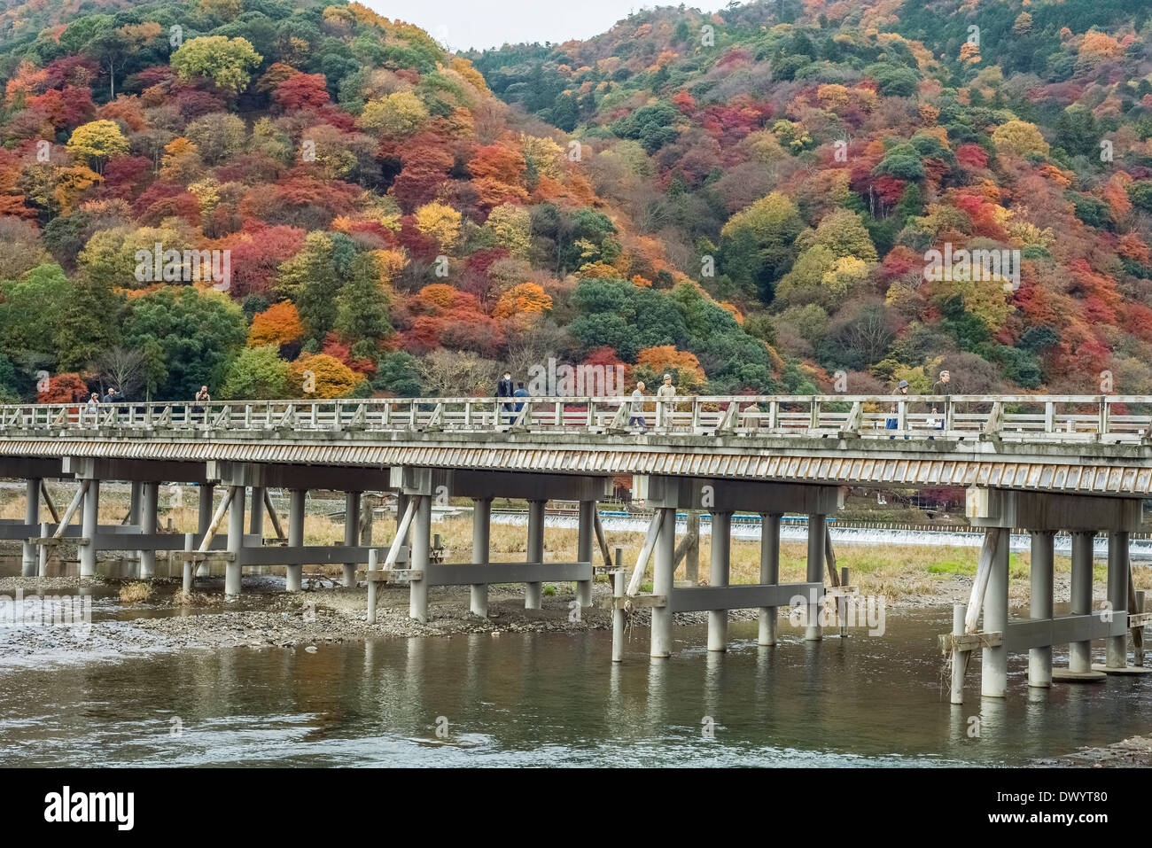 Arashiyama hi-res stock photography and images - Alamy