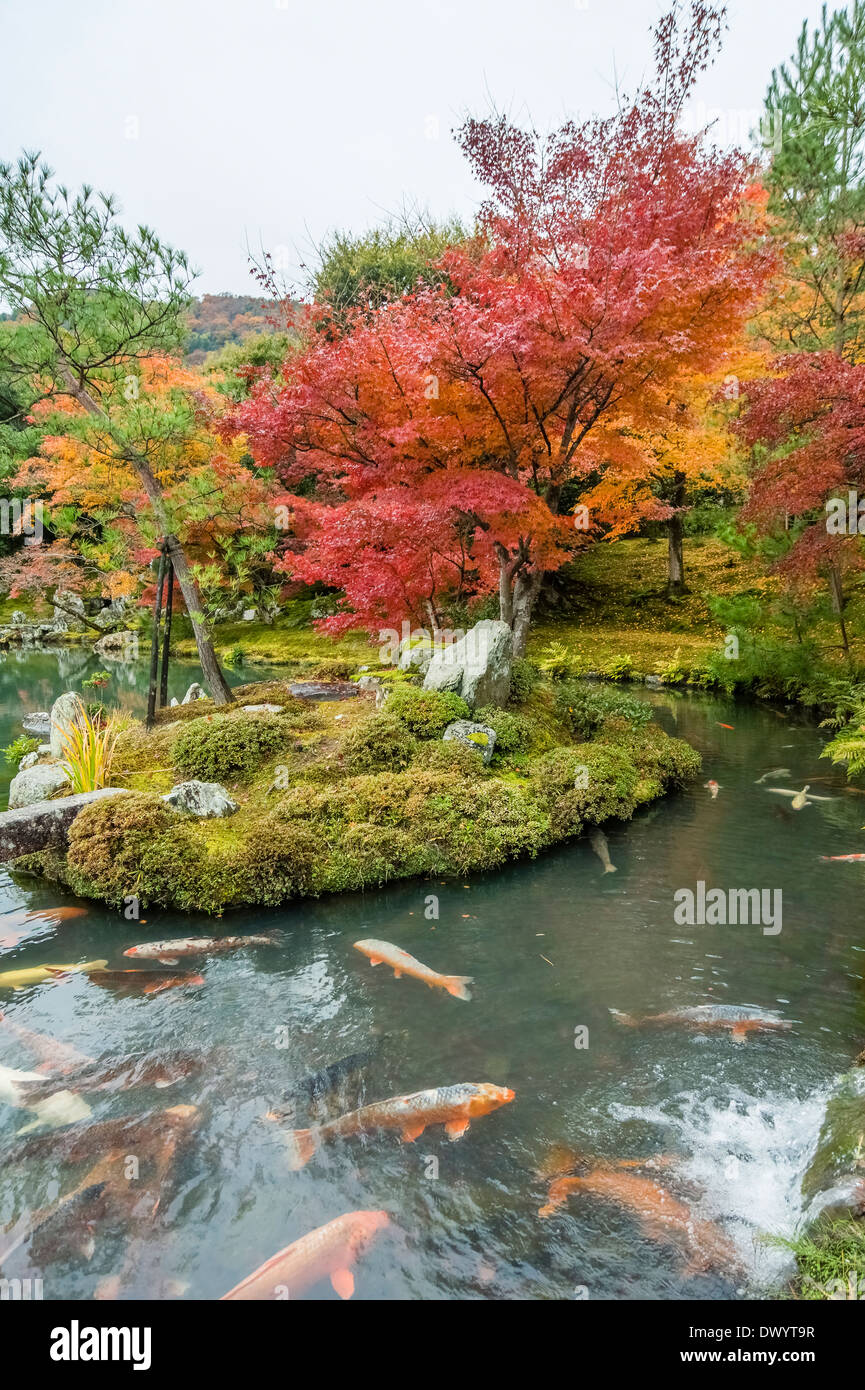 Kyoto japan japanese garden hi-res stock photography and images - Alamy