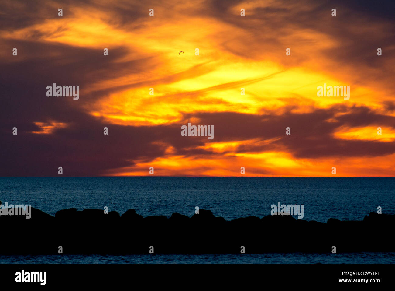 Gulf of mexico sunset hi-res stock photography and images - Alamy
