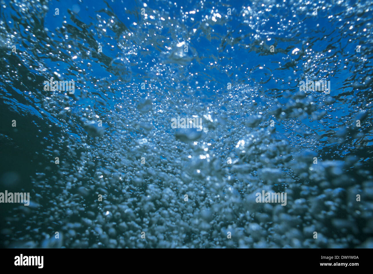 Crystal River, Florida, USA Stock Photo - Alamy