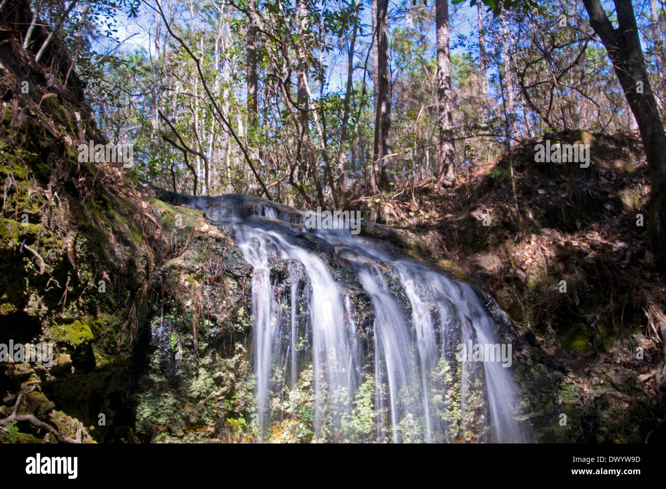 The highest waterfall in Florida Stock Photo - Alamy