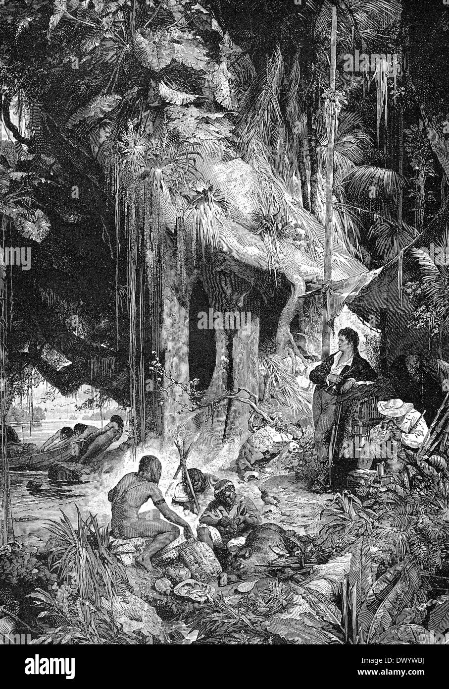 Aime jacques alexandre bonpland hi-res stock photography and images - Alamy