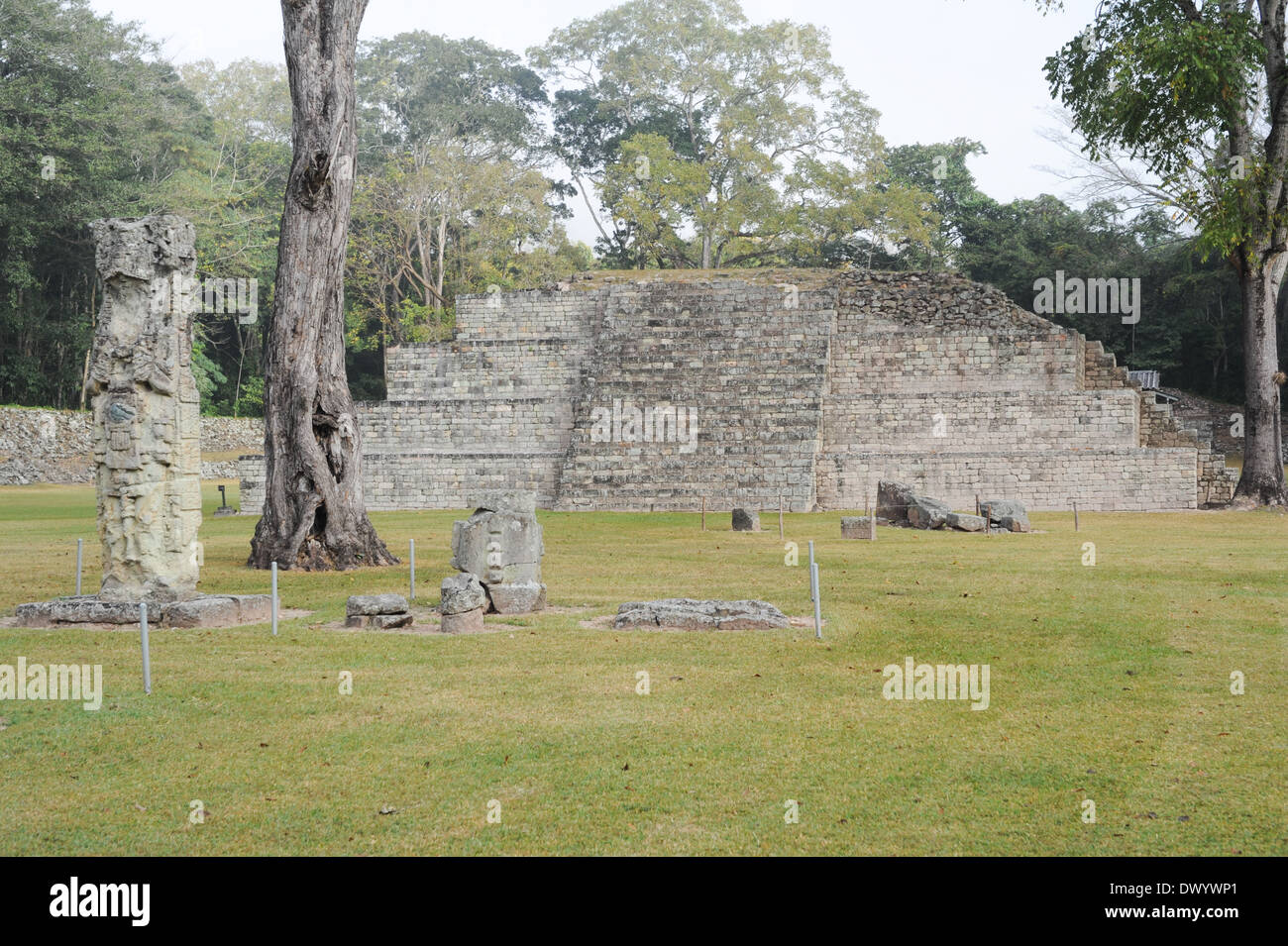 The Mayan ruins of Copan on Honduras Stock Photo - Alamy