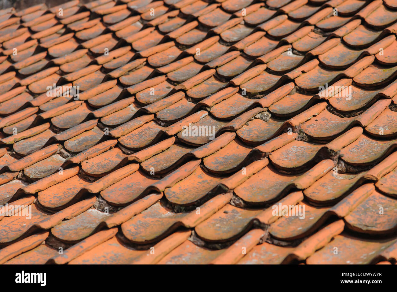 Pantile hi-res stock photography and images - Alamy