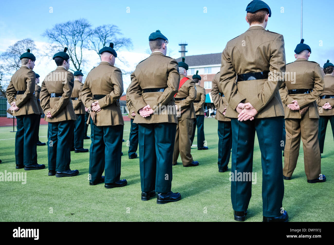 Hands backs hi-res stock photography and images - Alamy