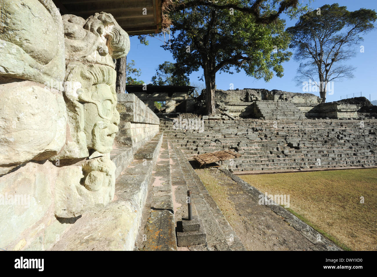 The Mayan ruins of Copan on Honduras Stock Photo - Alamy