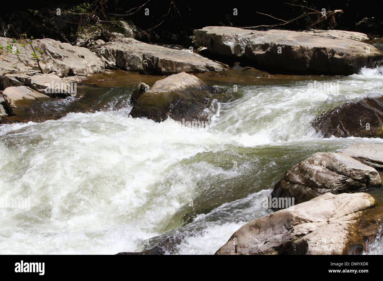 Laurel River North Carolina Stock Photo - Alamy