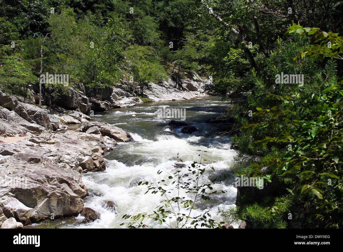 Laurel River North Carolina Stock Photo - Alamy