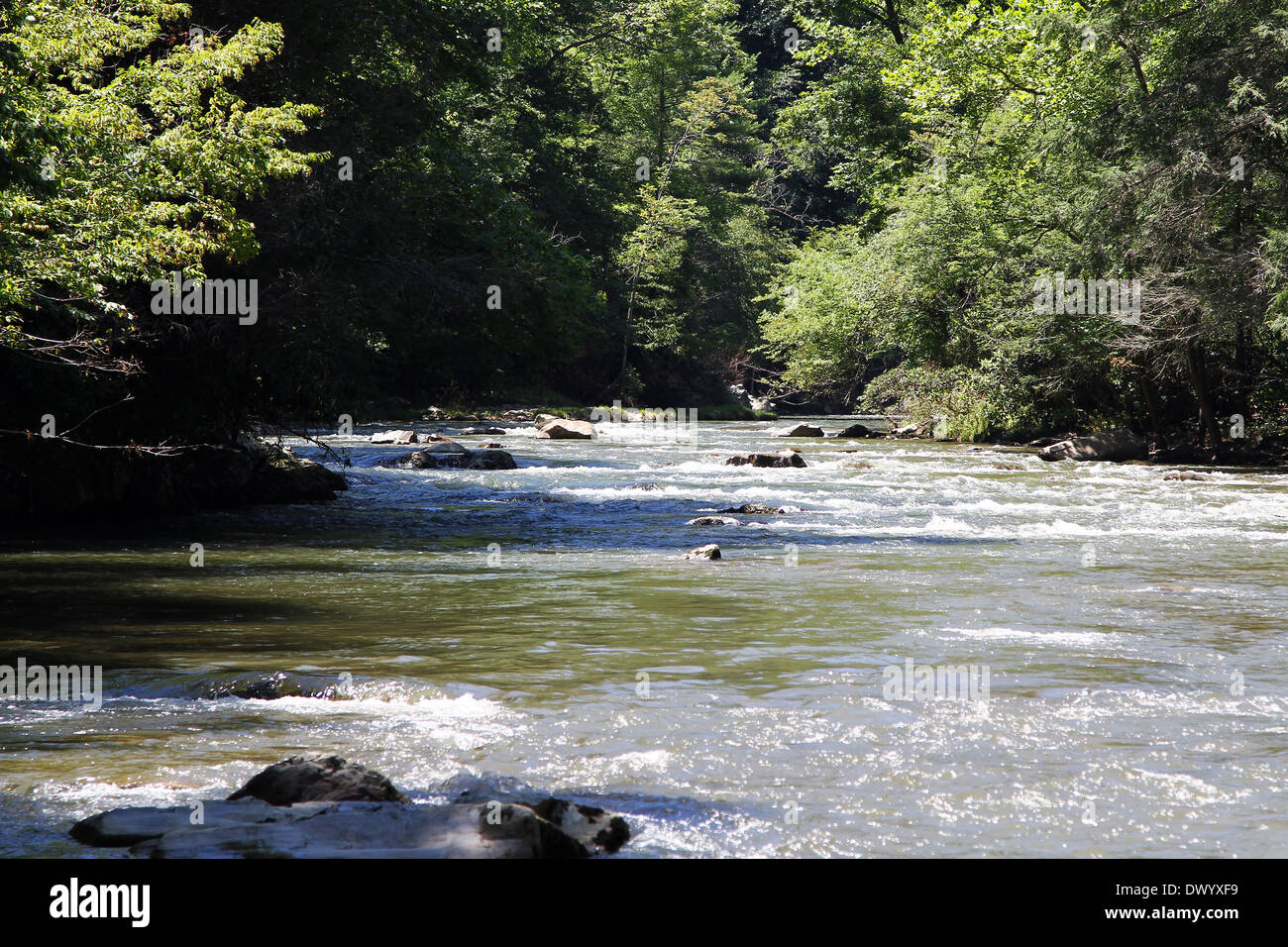 Laurel River North Carolina Stock Photo - Alamy