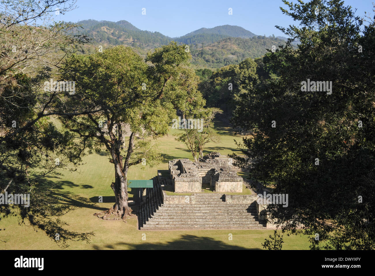 The Mayan ruins of Copan on Honduras Stock Photo - Alamy