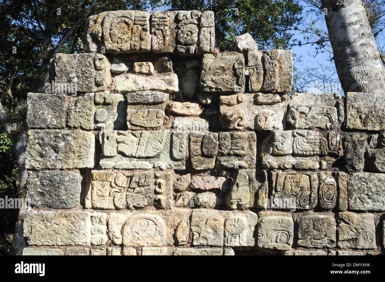 The Mayan ruins of Copan on Honduras Stock Photo - Alamy