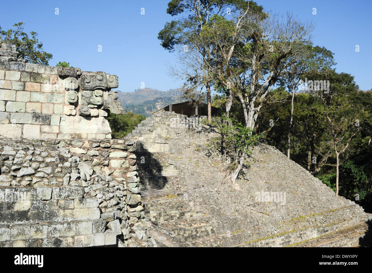 Mayan ruins of copan hi-res stock photography and images - Alamy