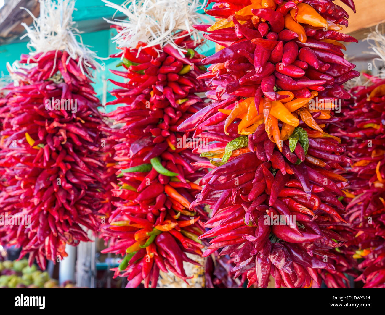 New mexico chile pepper hi-res stock photography and images - Alamy