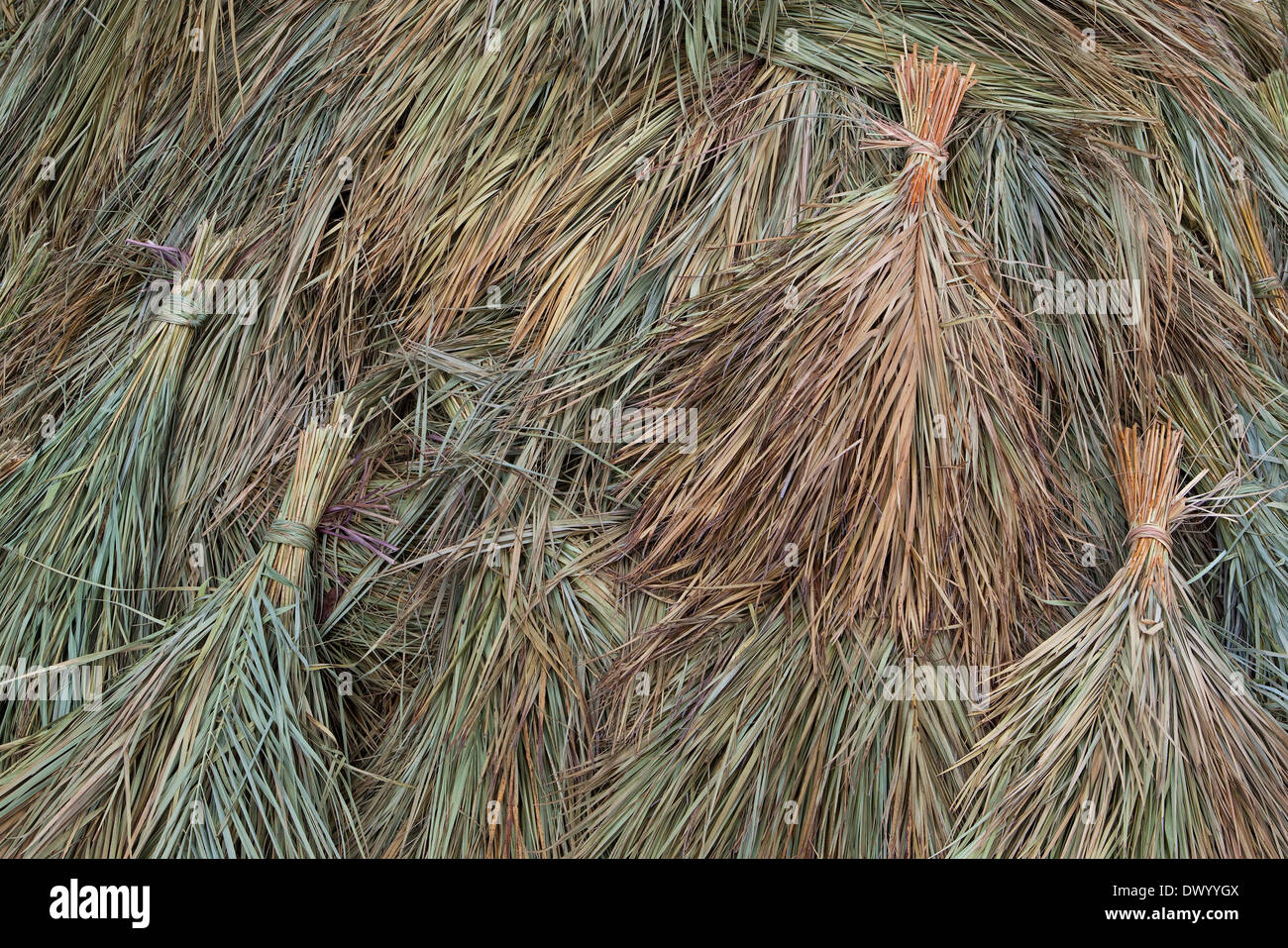 Background patterns and textures of bundles of sugar cane leaves dried ...